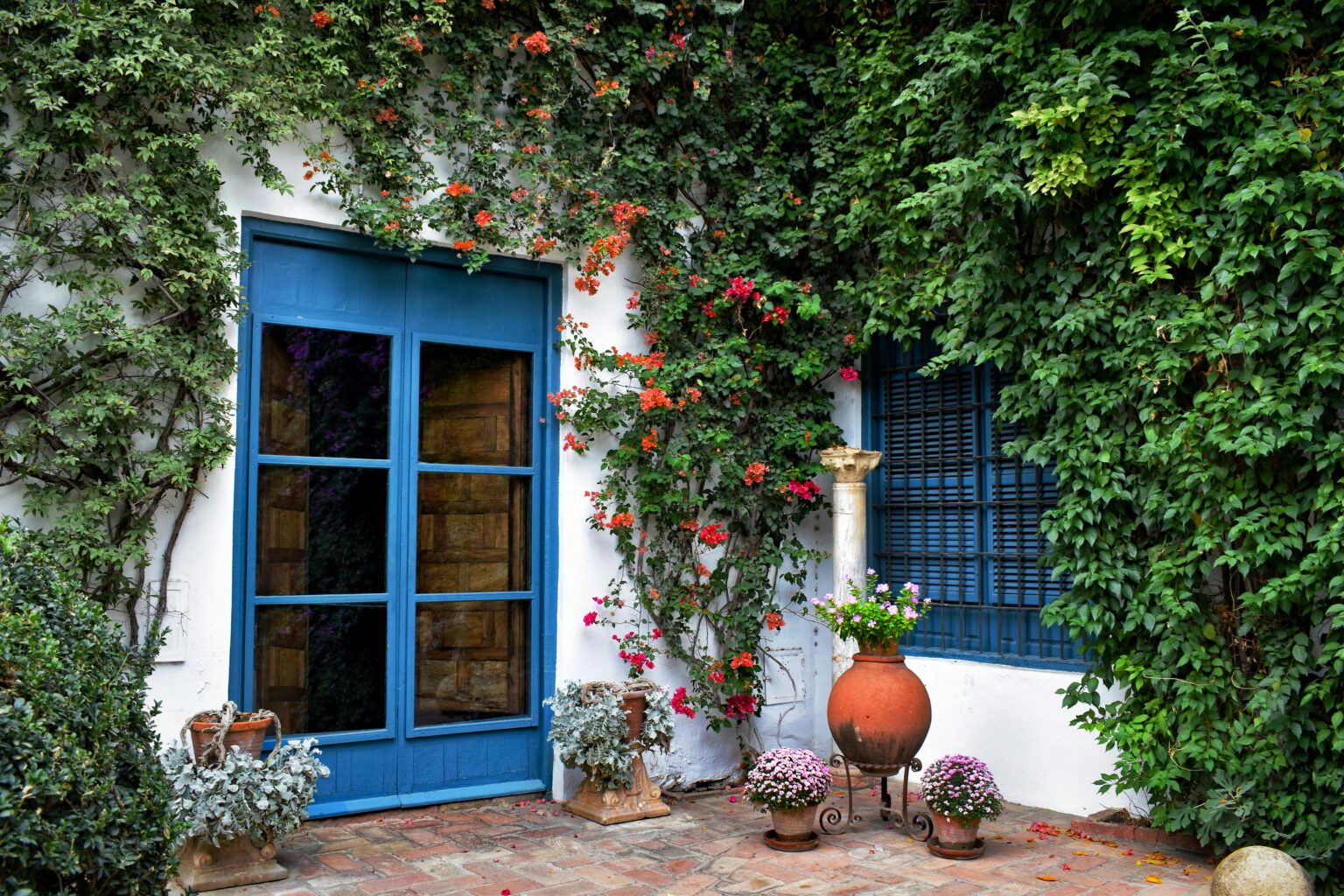 What Are Creepers? A Simple Guide for Garden Lovers - Maali Bhaiya
