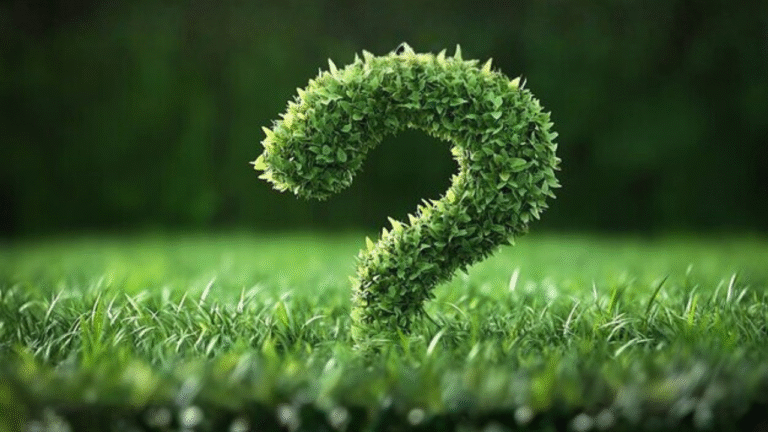 Doob Grass - The Complete Guide: Everything You Need to Know - Maali Bhaiya